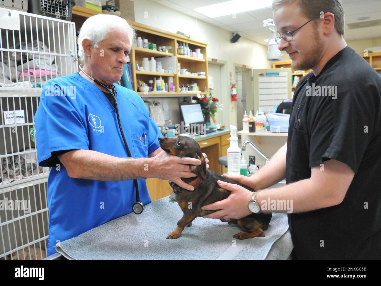 Dr. Denny Nolet and assistant Tim Vintere ready to check a Dachshund ...