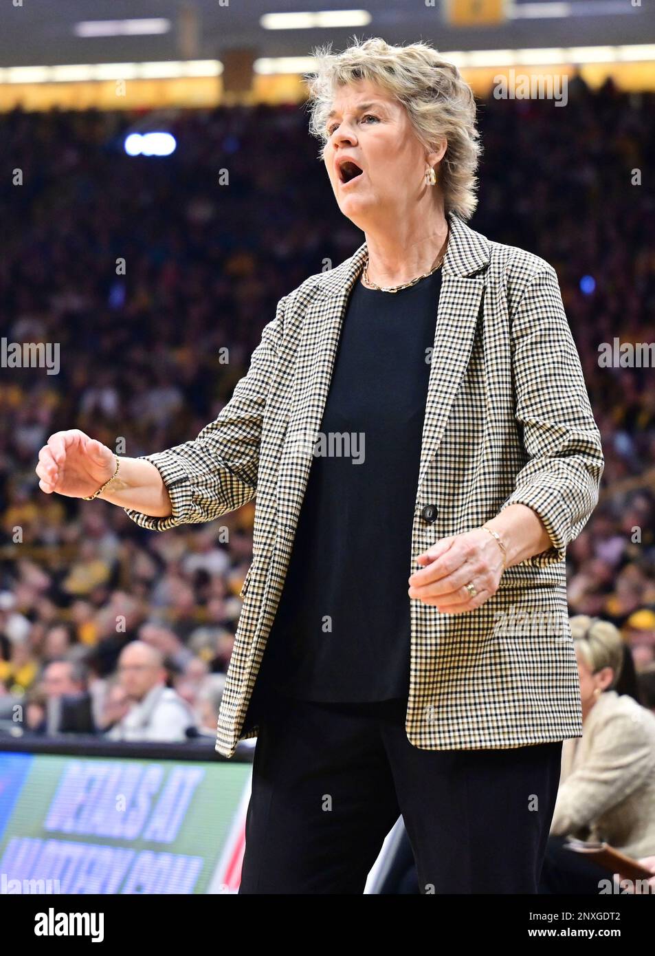 IOWA CITY, IA - FEBRUARY 26: Iowa coach Lisa Bluder as seen during a ...
