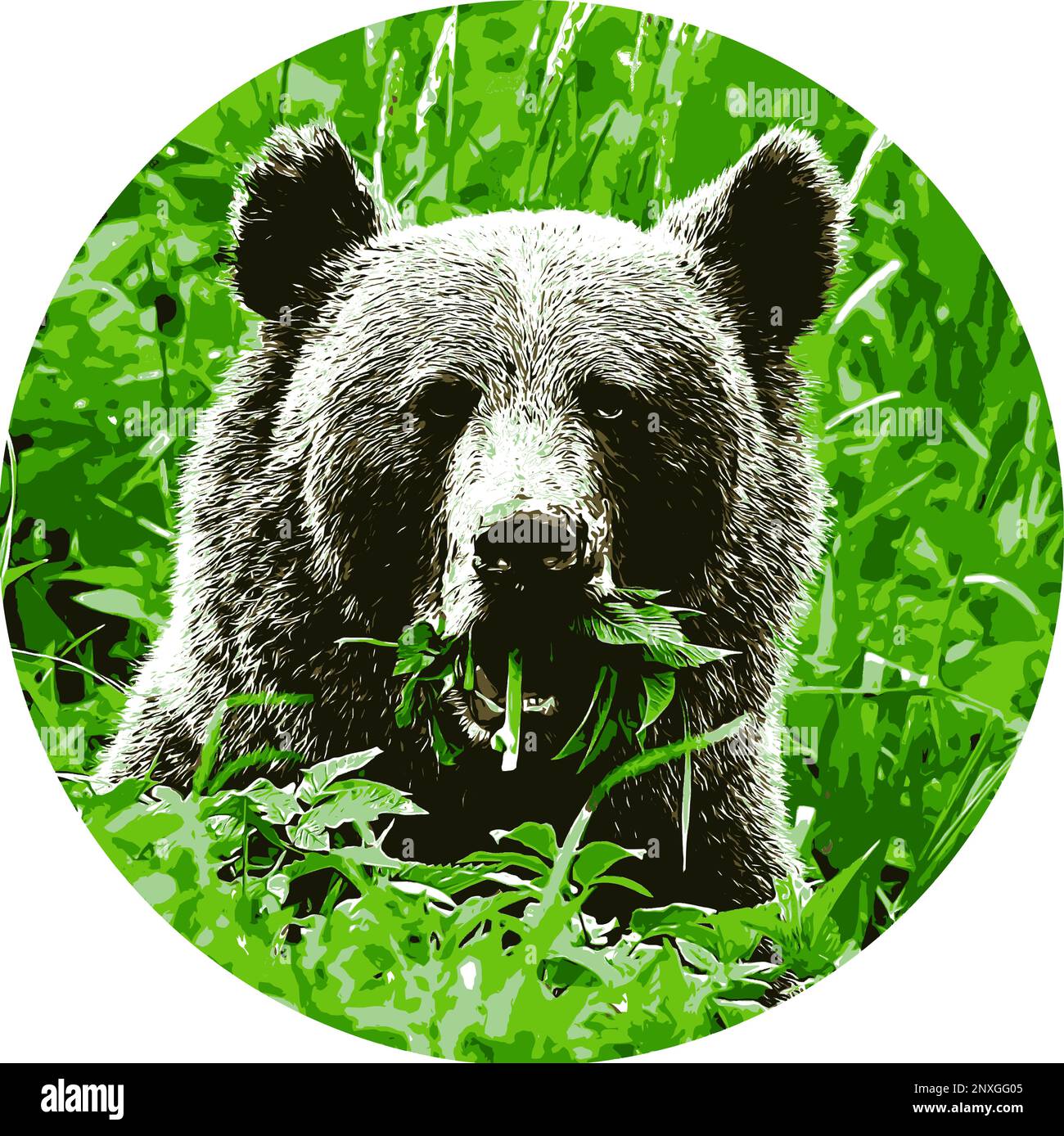 Black bears eating Stock Vector Images - Alamy