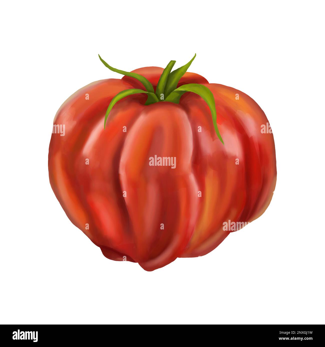 Red ripe fleshy tomato. Digital illustration on a white background ...