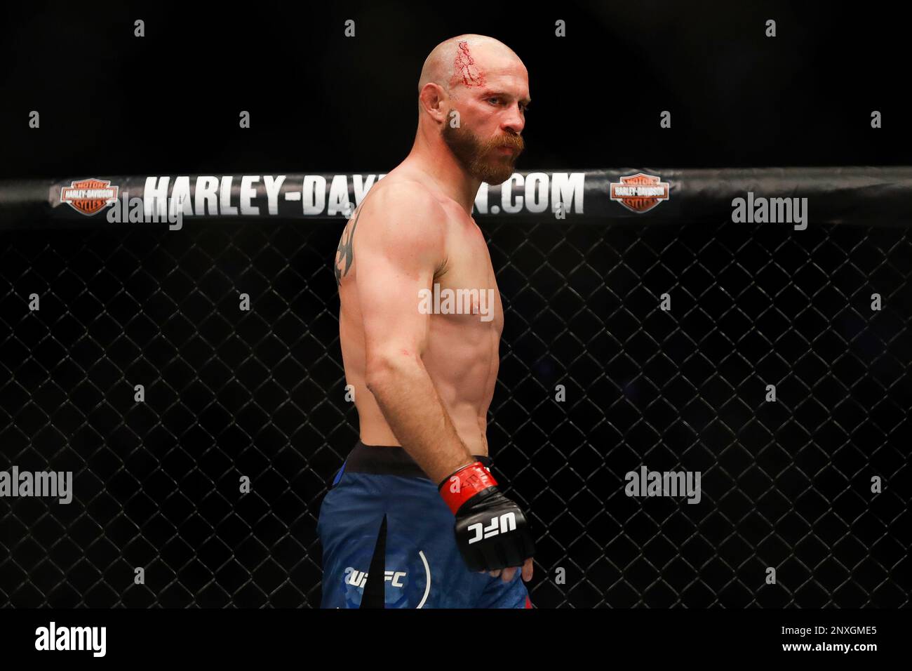 Donald Cerrone looks towards Yancy Medeiros (not pictured) during their ...