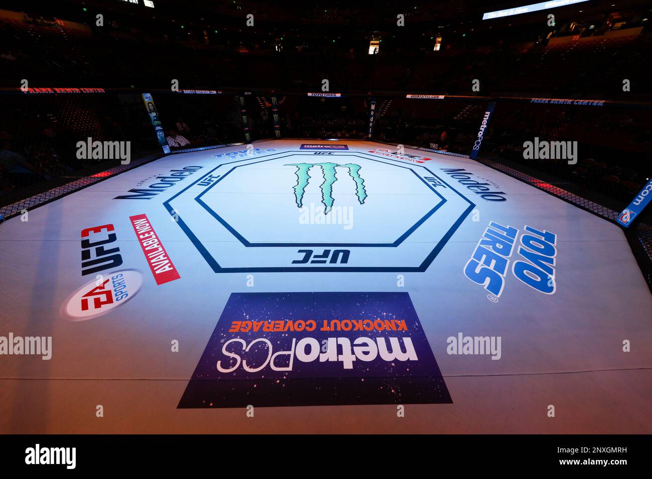 Ufc Octagon Top View