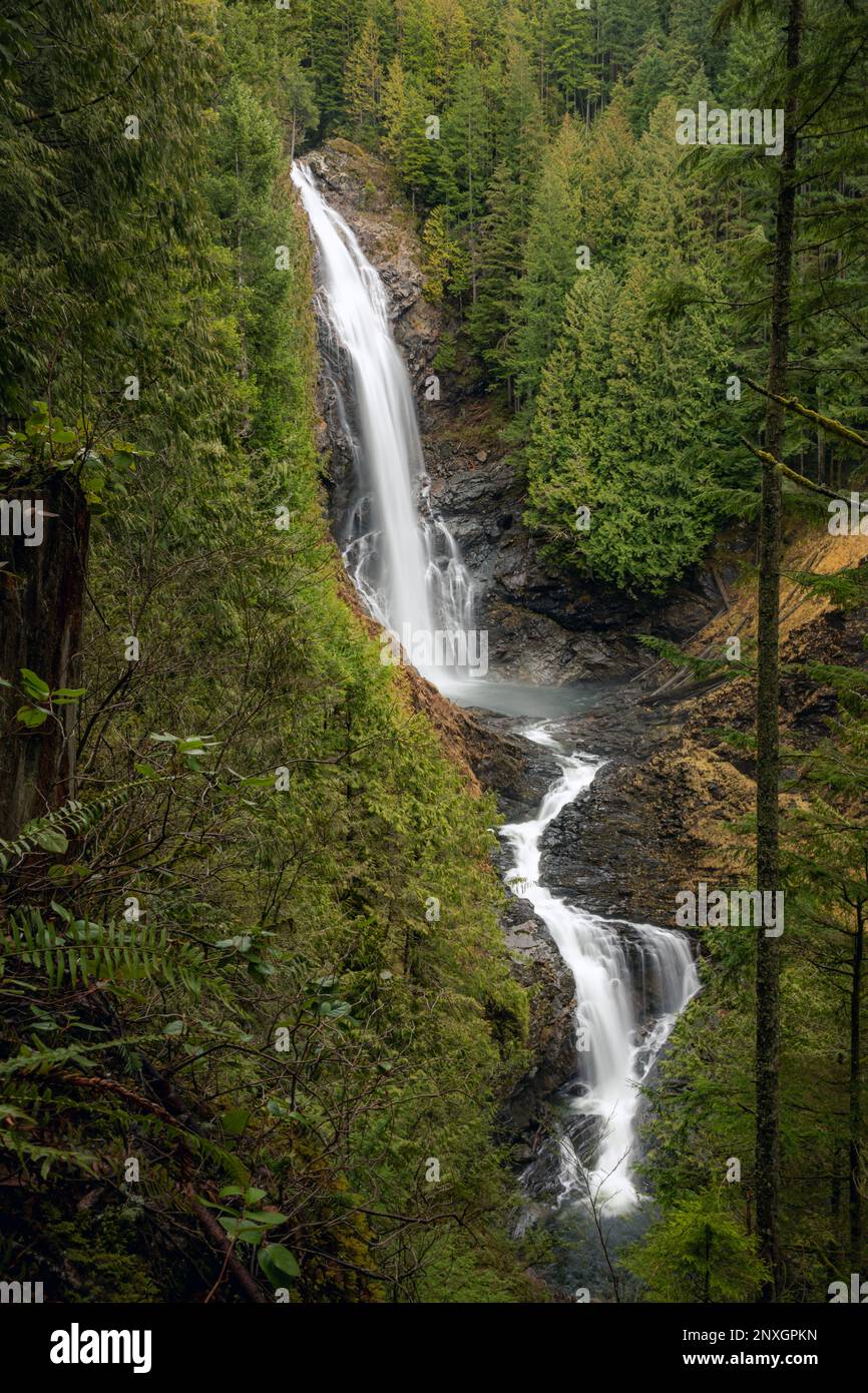 WA23151-00...WASHINGTON - Middle Wallace Falls, one of three major ...