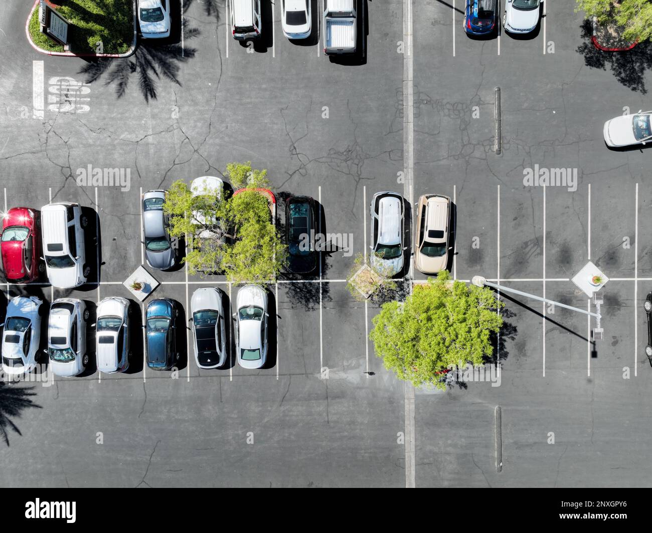 Aerial view of large parking lot with cars and small tree in between ...