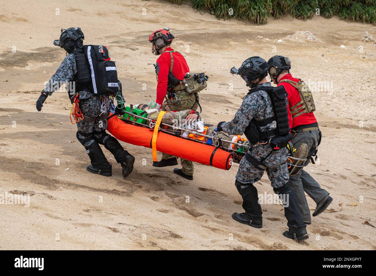 Japanese Air Self-Defense pararescuemen and U.S. Air Force ...