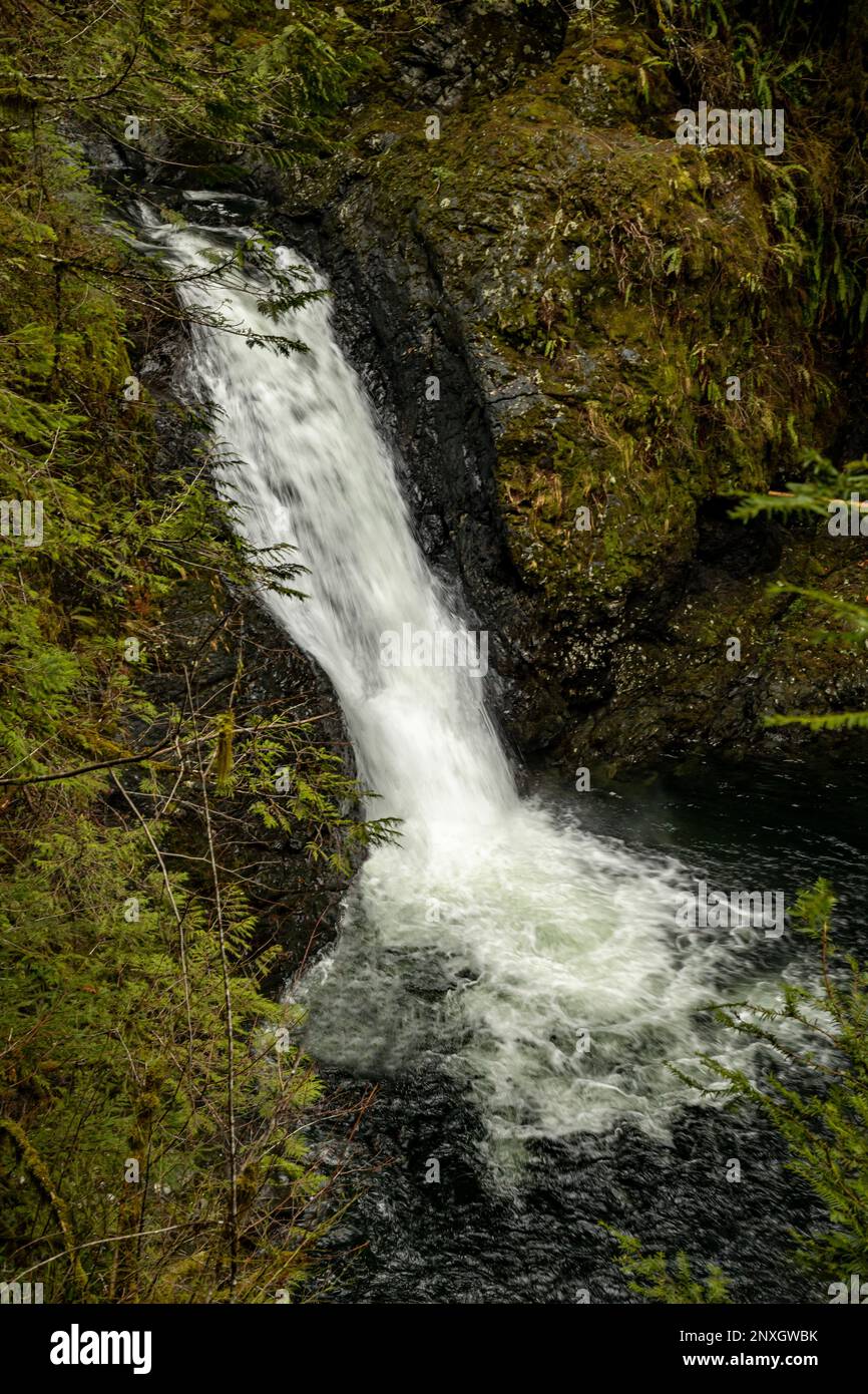 WA23156-00...WASHINGTON - One of several tiers of Lower Wallace Falls ...