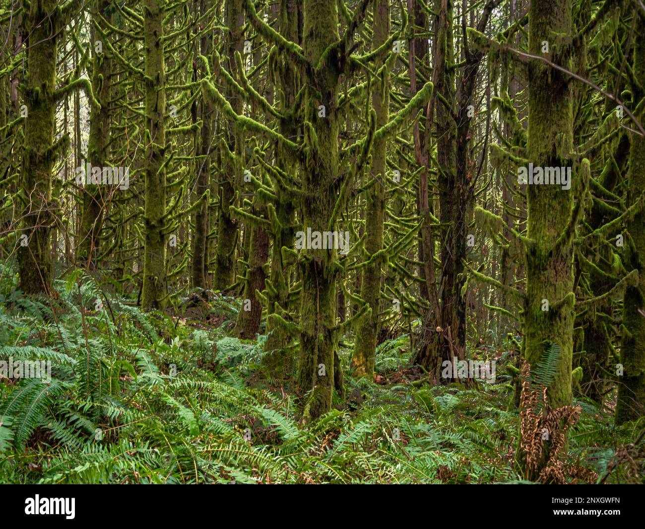 King hill regional park hi-res stock photography and images - Alamy