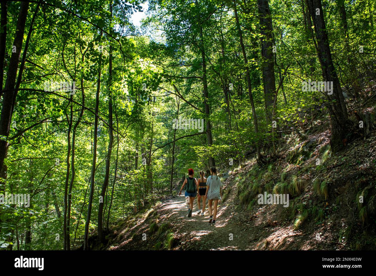 Hiking trail through Gorges de la Carança, Pyrénées-Orientales ...