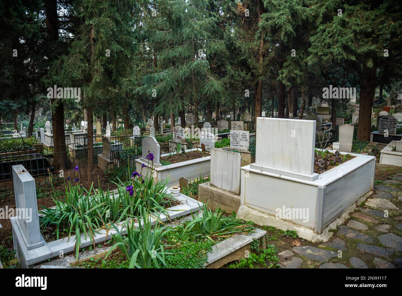 Gravestones and graves at Muslim cemetery. Country cemetery with green ...