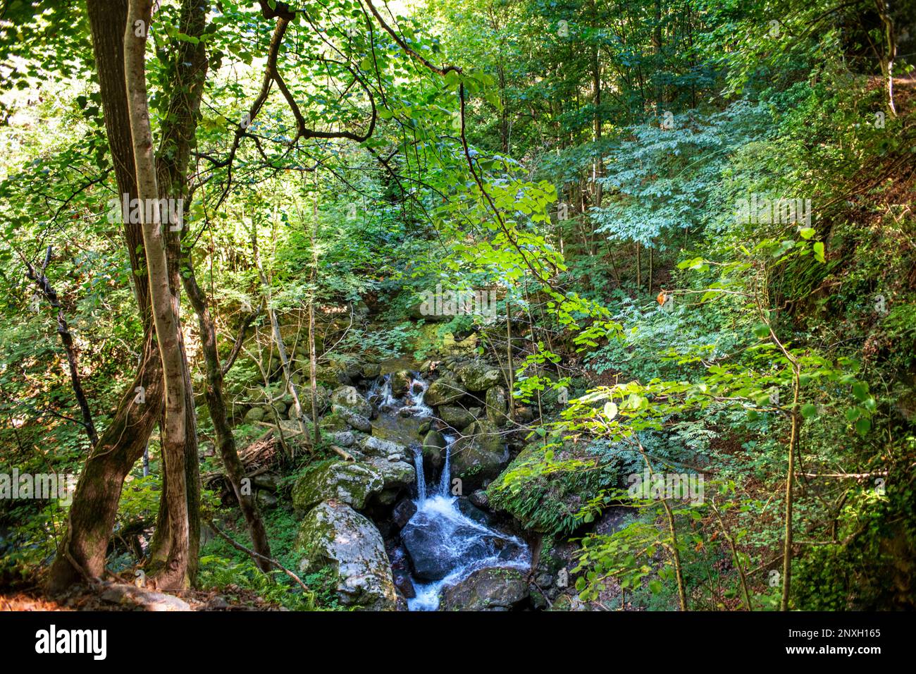 Hiking trail through Gorges de la Carança, Pyrénées-Orientales ...
