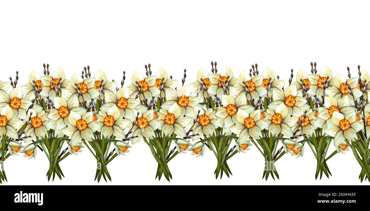 Seamless border. Spring watercolor daffodils bouquet. Flowers with stem ...