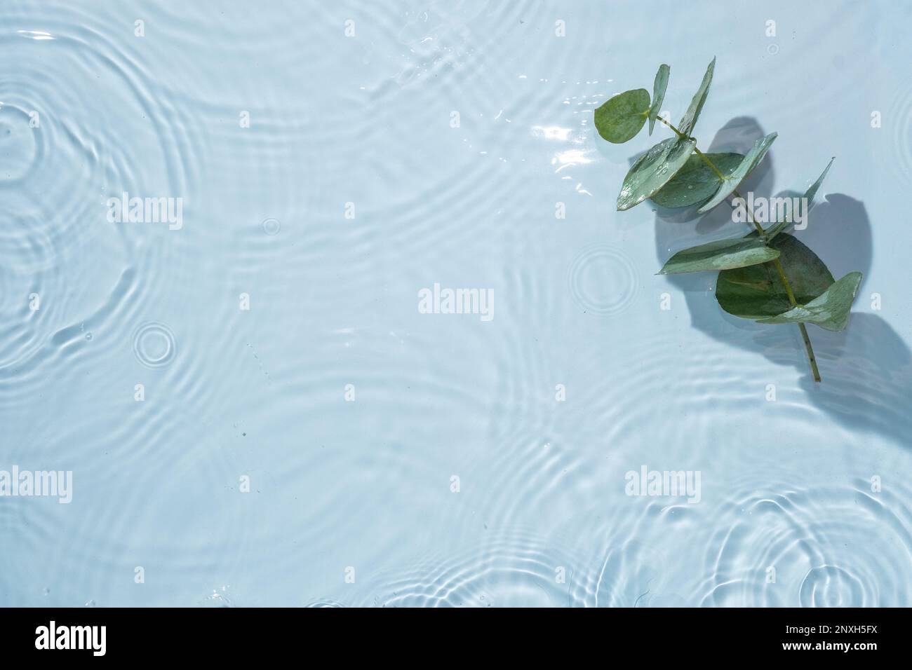 Blue water texture, surface with rings and ripples. Spa concept ...