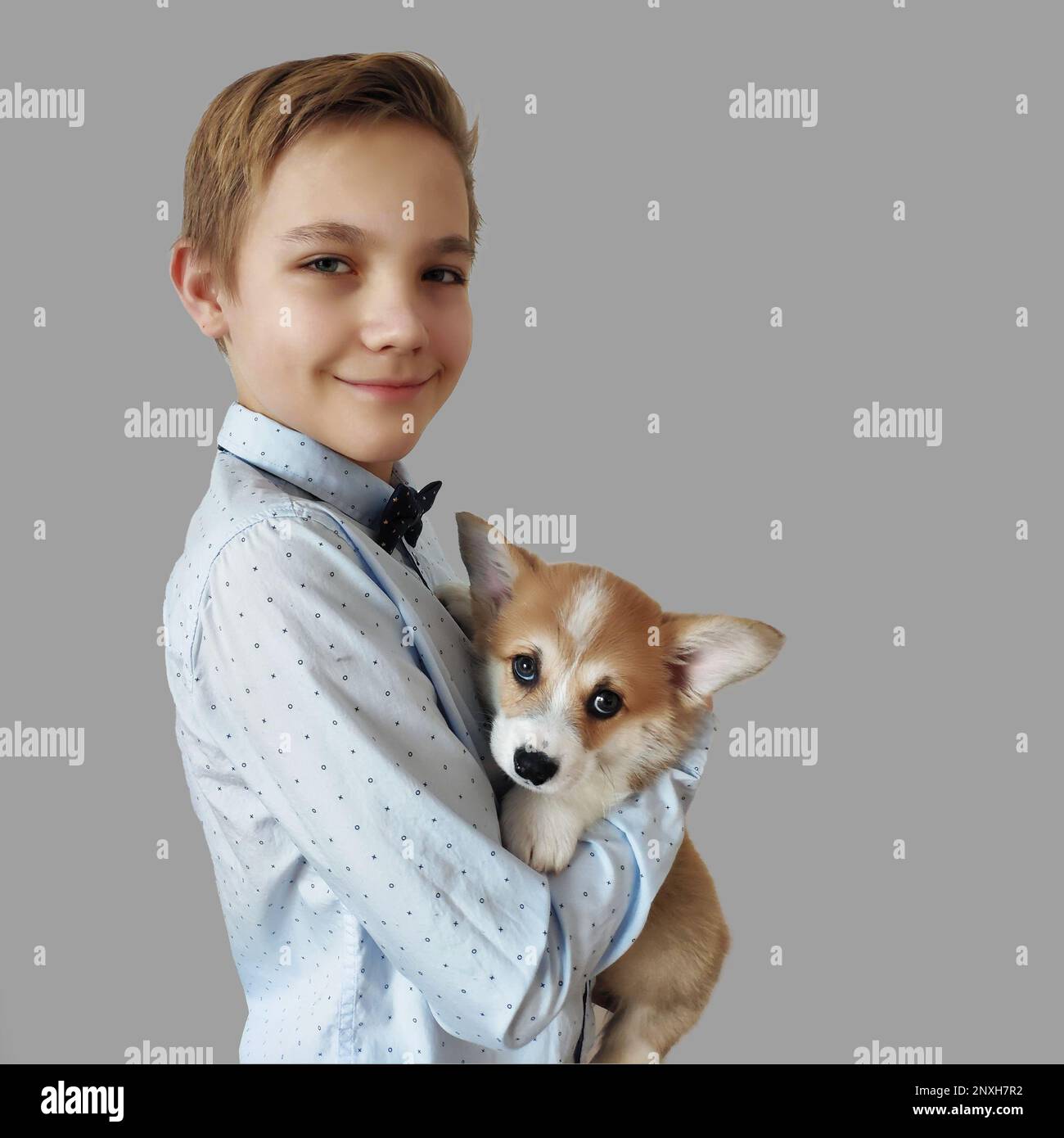 A boy and a Pembroke Welsh Corgi dog. Positive emotions Stock Photo - Alamy