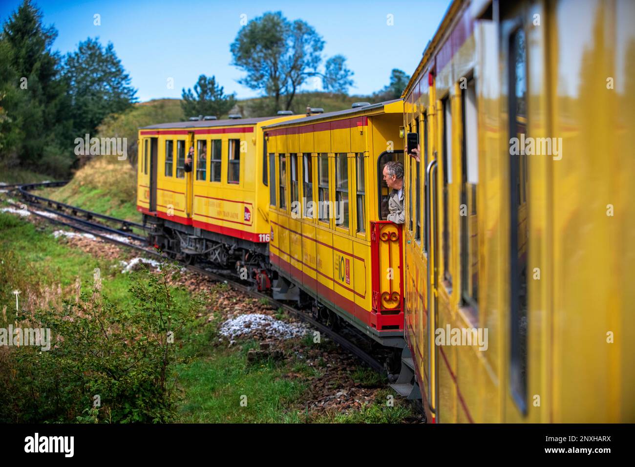 Tren canario hi-res stock photography and images - Alamy