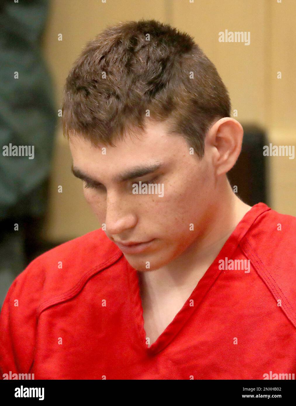 Nikolas Cruz appears in court for a status hearing before Broward ...