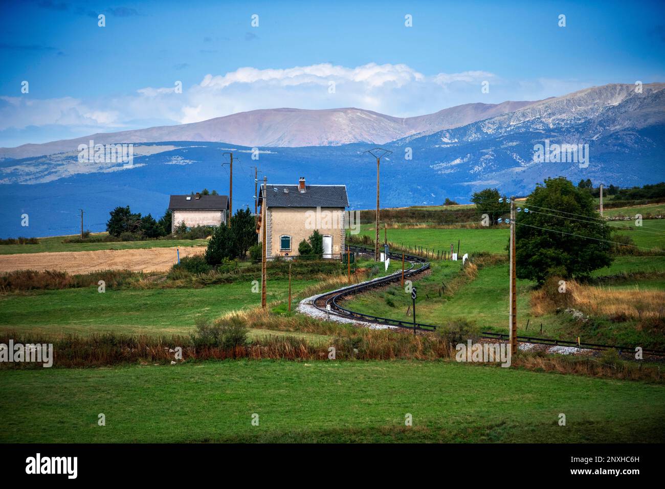 Tren canario hi-res stock photography and images - Alamy