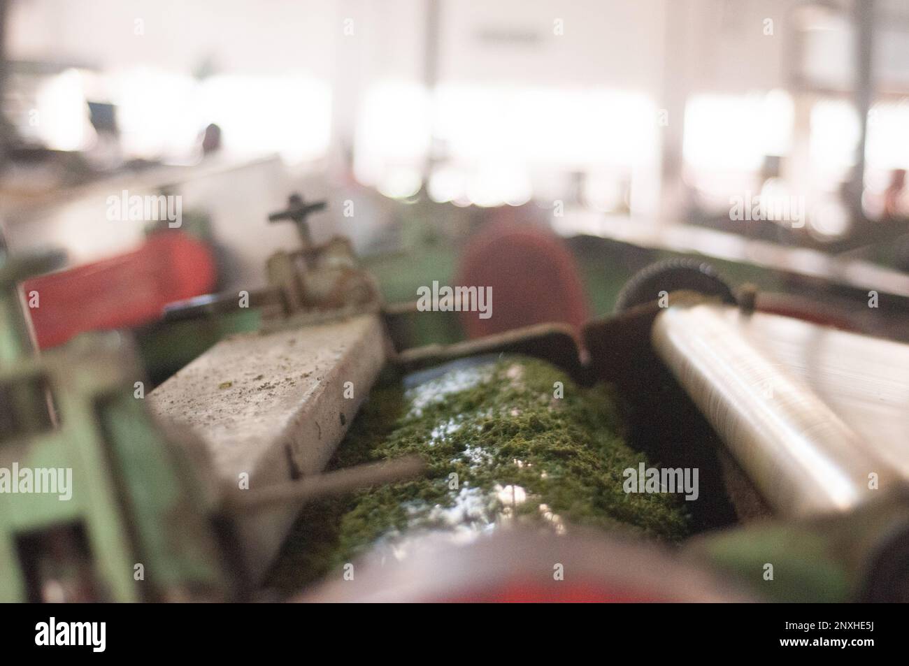 Tea production mill pictures in sylhet, Bangladesh Stock Photo - Alamy