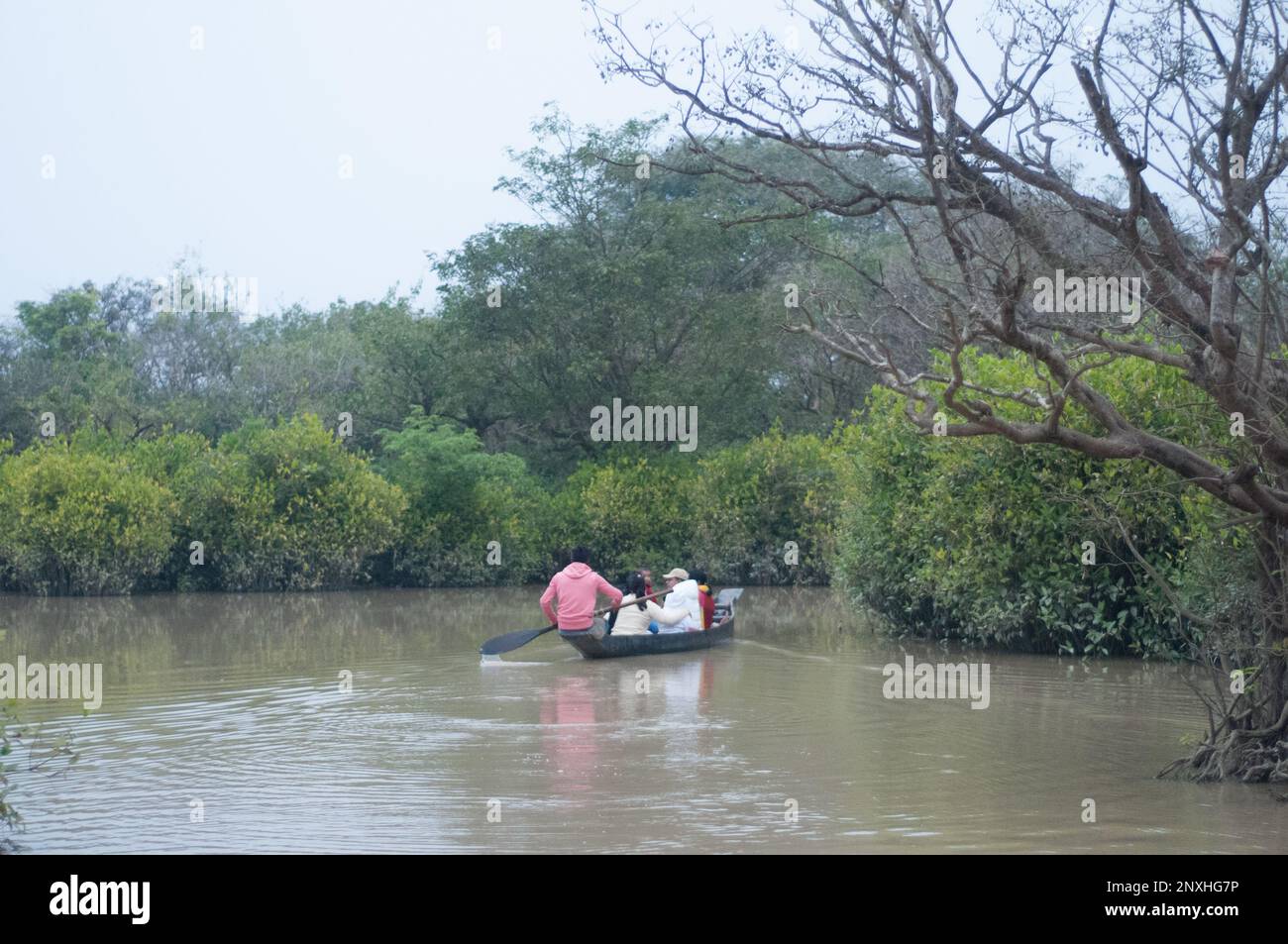 Ratargul natural beauty in Sylhet, Bangladesh Stock Photo - Alamy