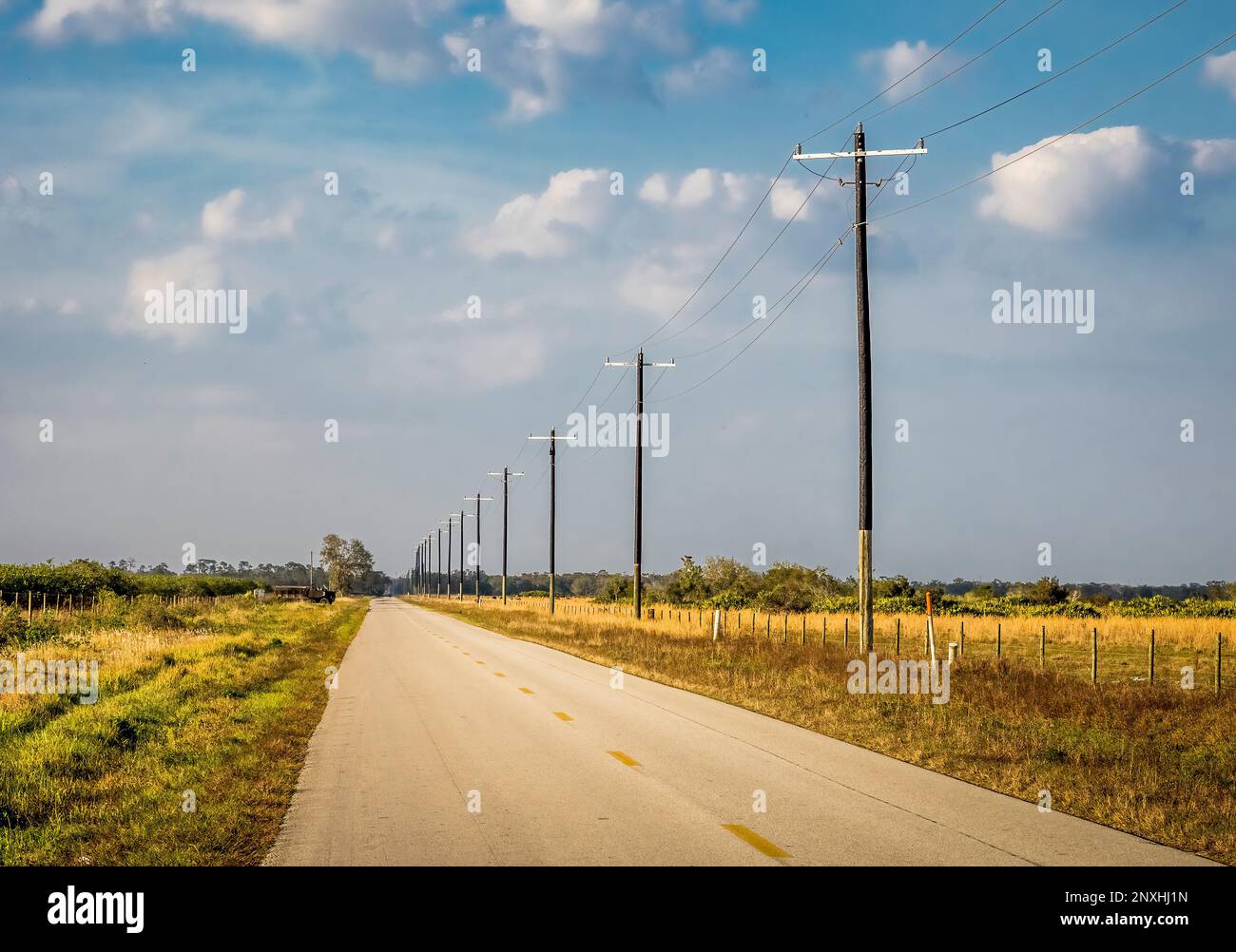 Straight poles hi-res stock photography and images - Alamy
