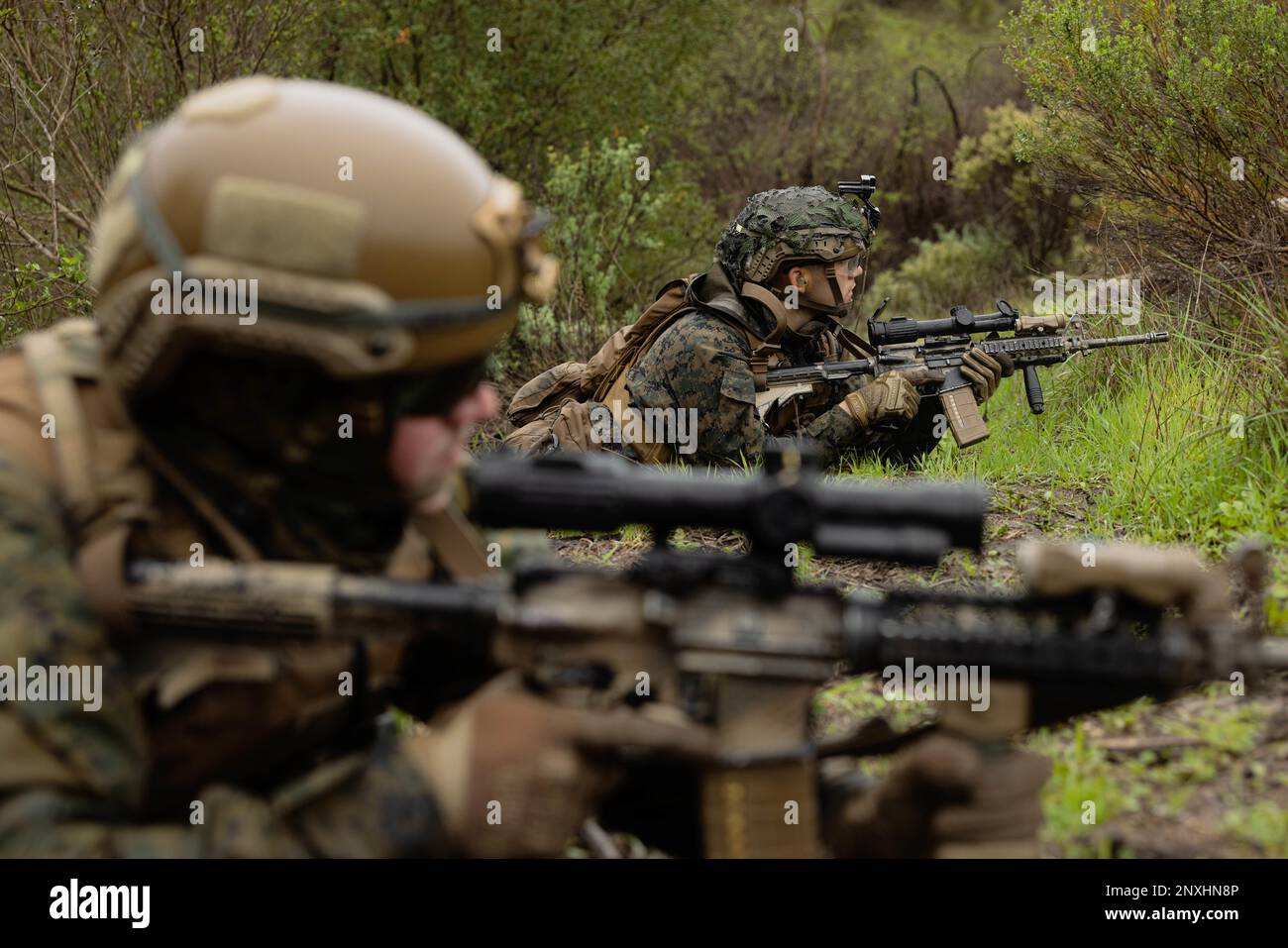 U.S. Marines with Alpha Company, 3rd Light Armored Reconnaissance Battalion, 1st Marine Division ...