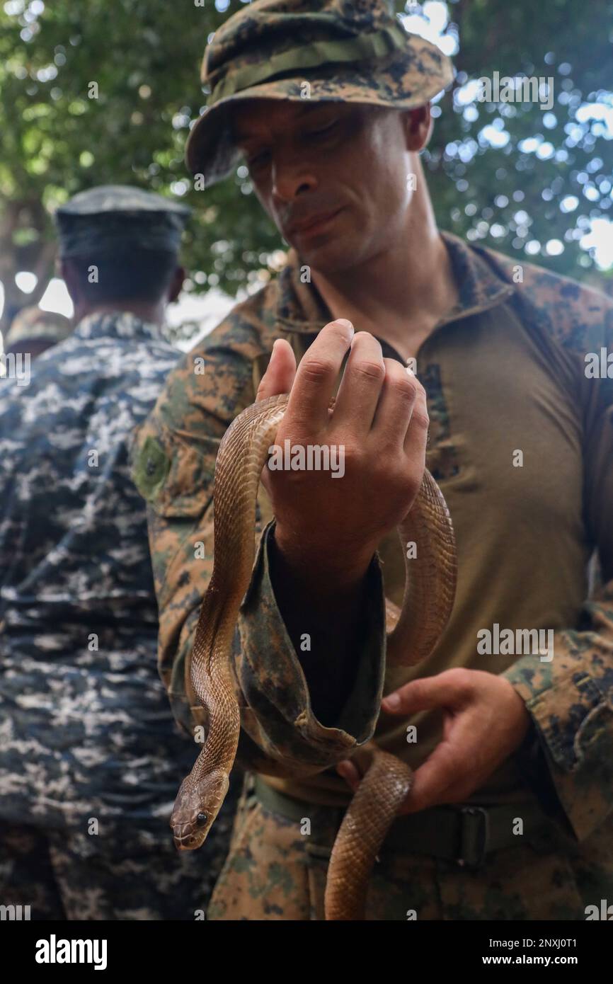 MULLIKULAM, Sri Lanka (Jan. 23, 2023) – U.S. Marine Corps Lt. Col ...