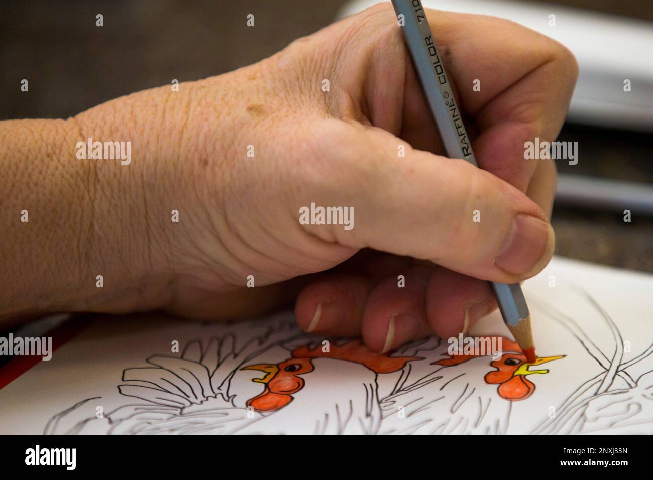 In this Friday, Feb. 9, 2018 photo, Kate Bowditch of Yakima colors with ...