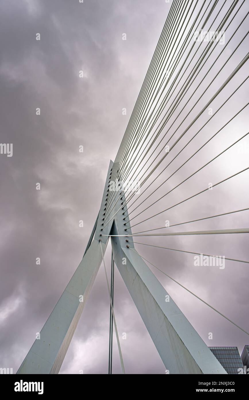 15 September 2021, Rotterdam . South Holland, Netherlands, Fragment of ...