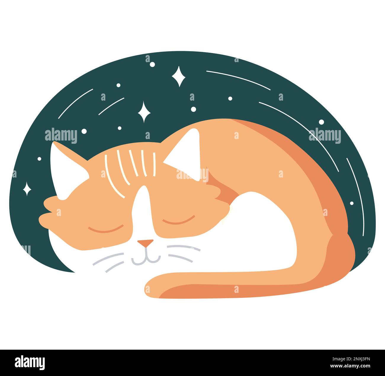 Cute Sleeping Cat At Night Under The Starry Sky Flat Vector
