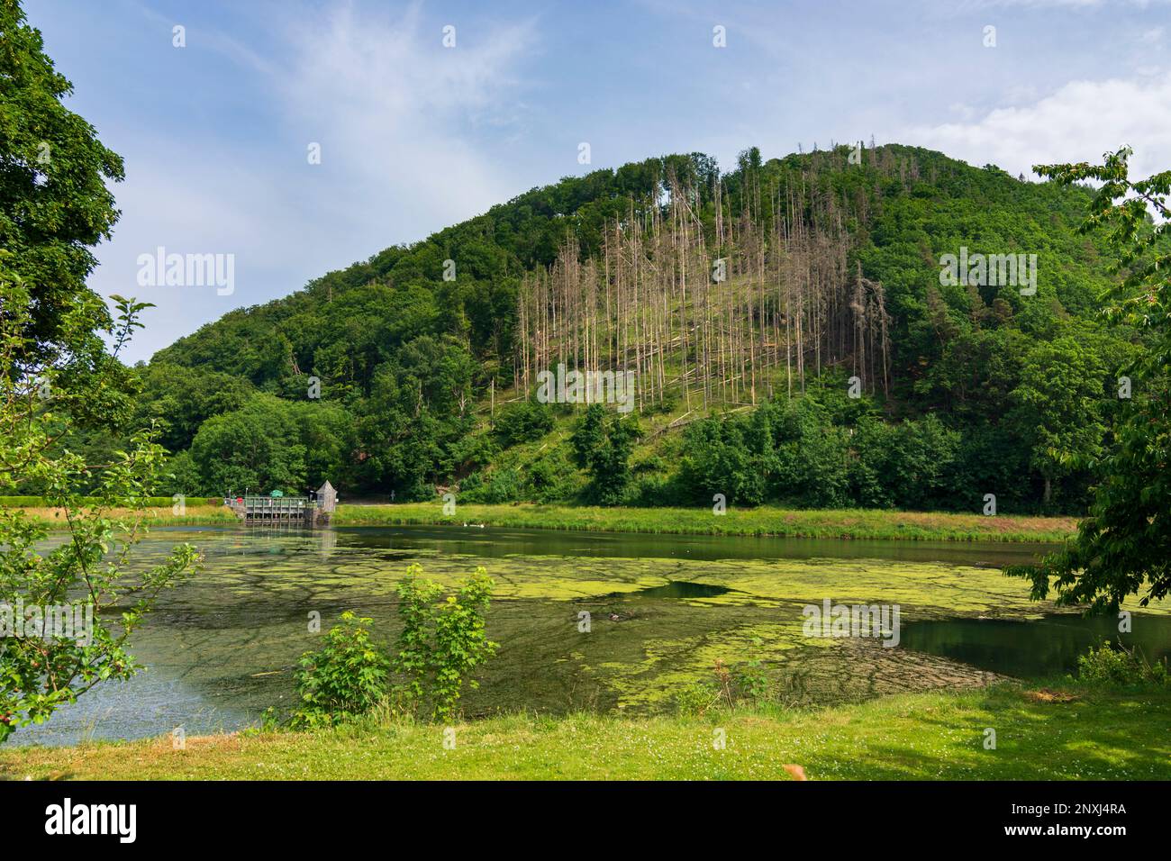 Marsberg: small lake at dam of Diemelsee or Diemel Reservoir ...