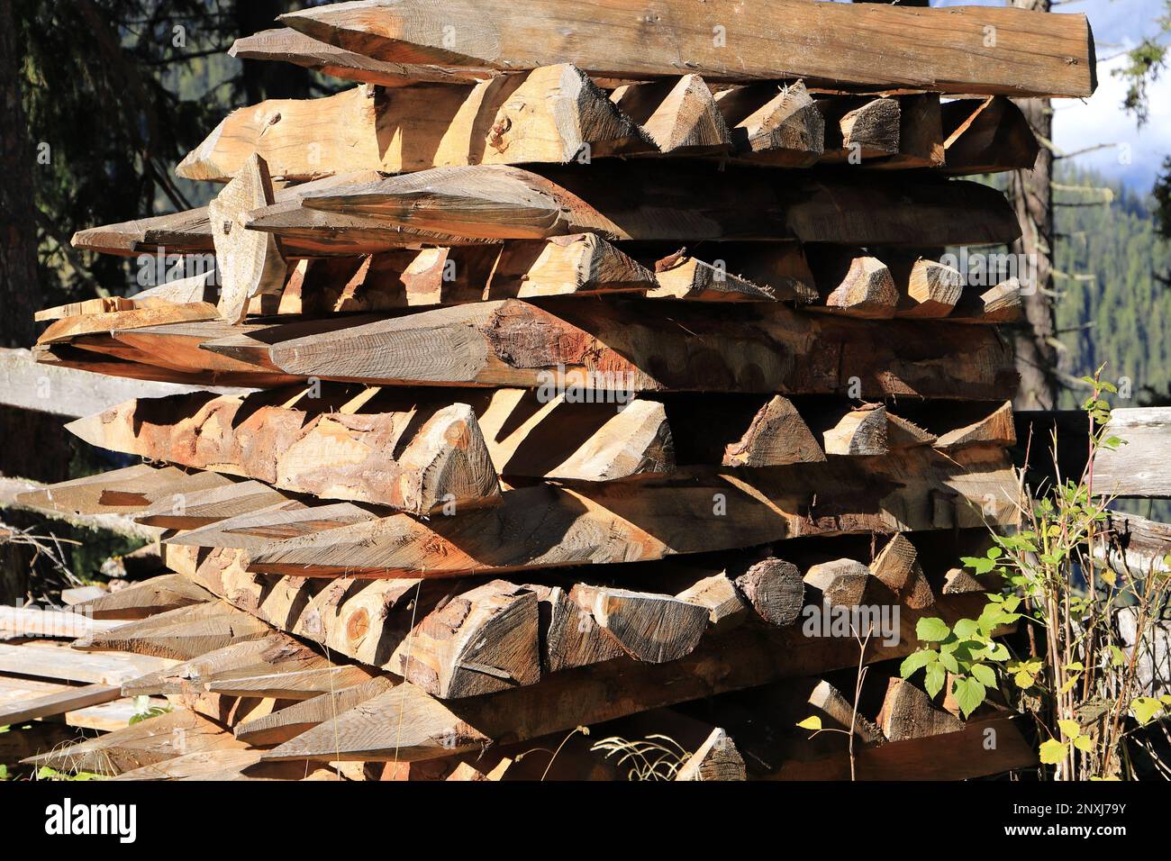 Poles landscape wooden poles for fencing fencing line hi-res stock ...