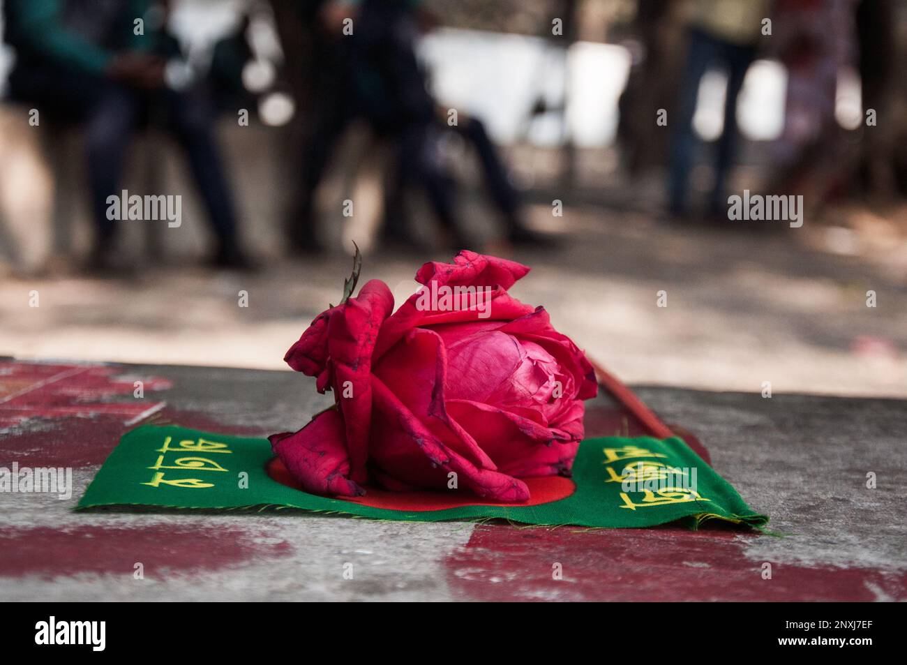 International mother language day event in Dhaka, Bangladesh Stock Photo - Alamy
