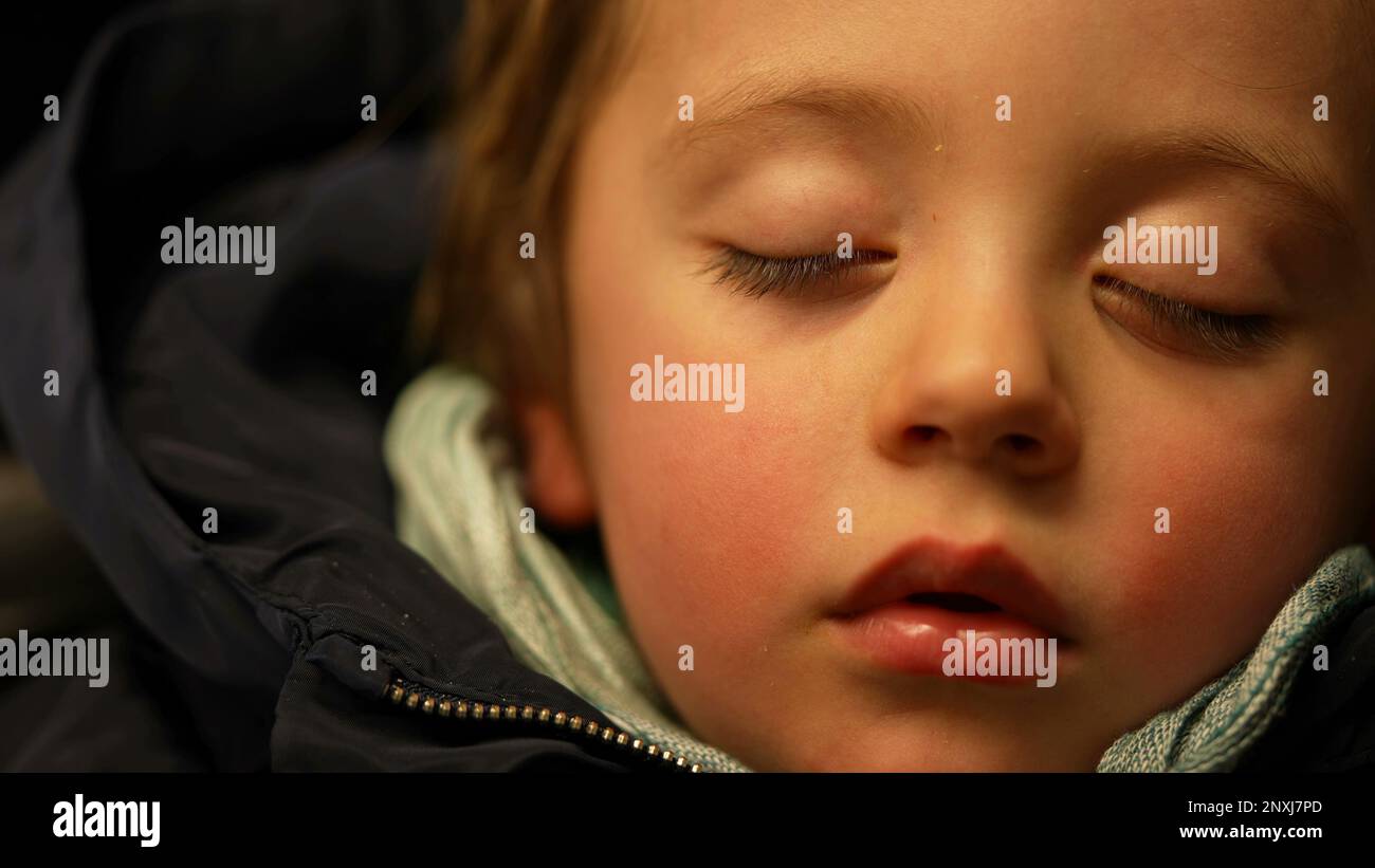 Portrait of sleeping child while traveling inside train. Little boy in ...