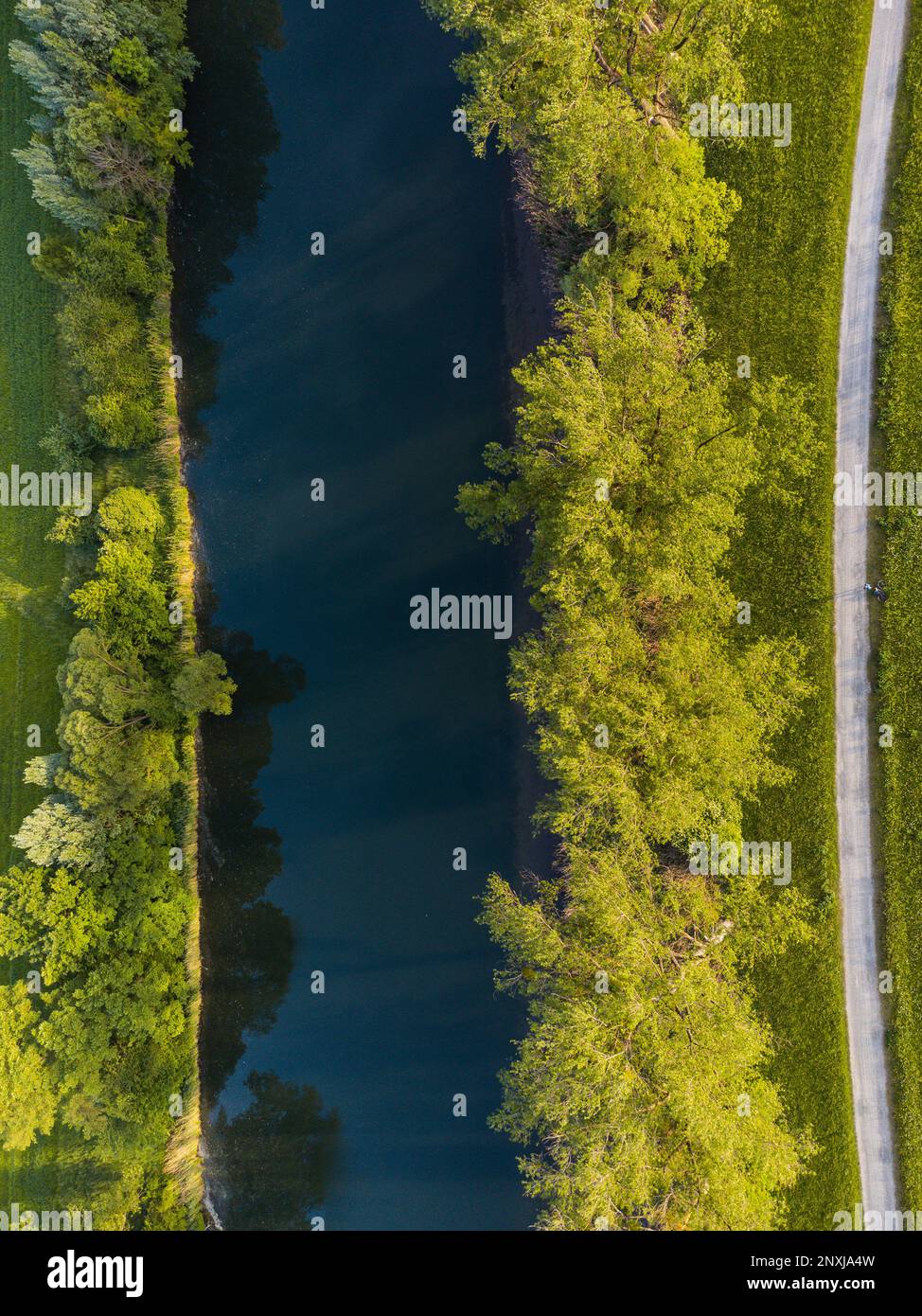 Aerial top view of a river with trees Stock Photo - Alamy