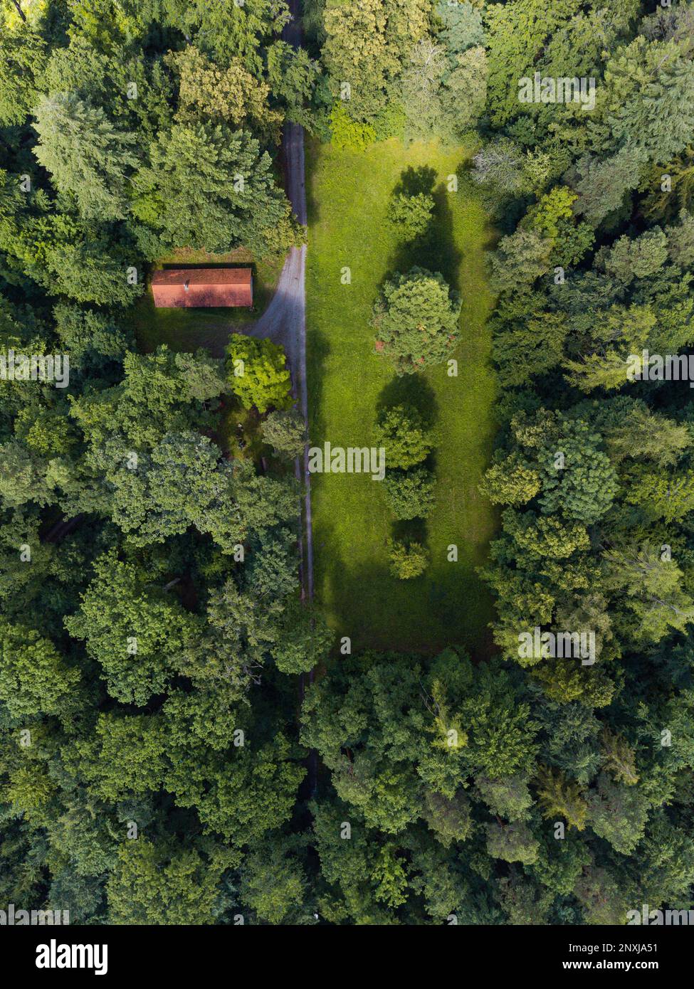 Crossing in the forest hi-res stock photography and images - Alamy