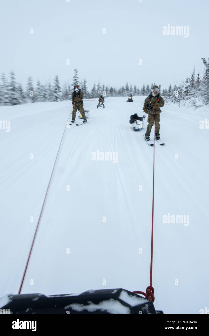 Cross country ski and denali hi-res stock photography and images - Alamy