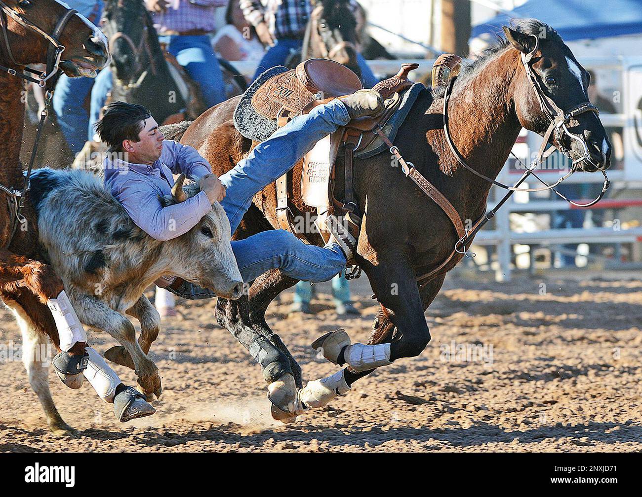 Tommy Denny, from Menifee, Calif., leaves his horse and tries to ...
