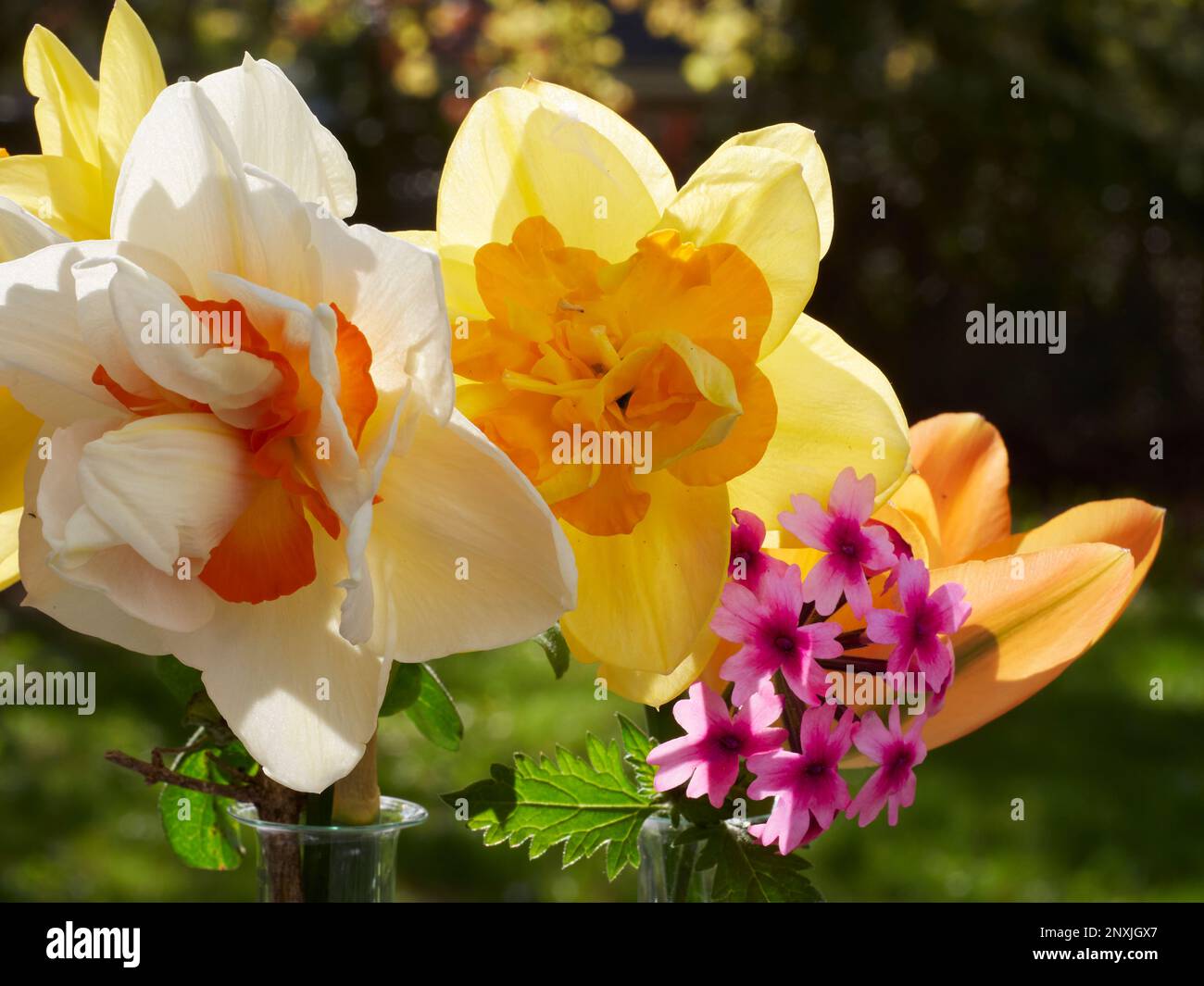 A spring bouquet of flowers including daffodil hi-res stock photography ...