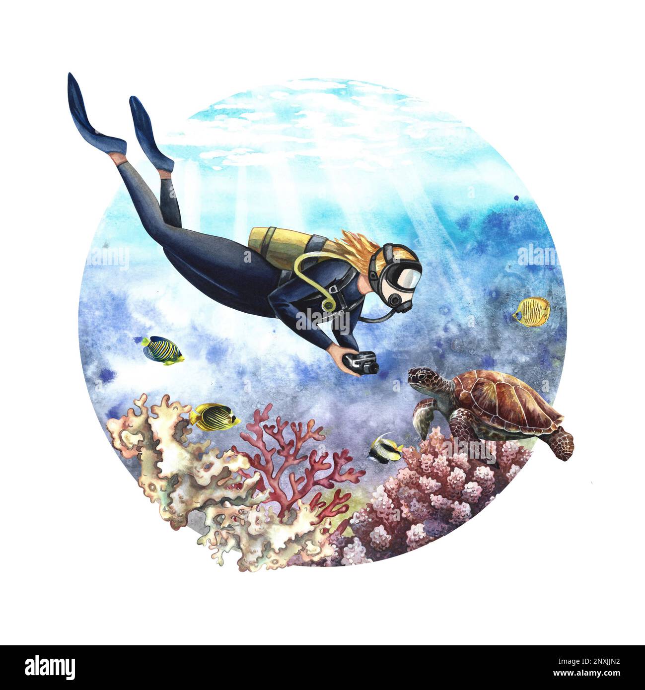 Girl diver swims underwater. Underwater travel. Watercolor hand drawn ...