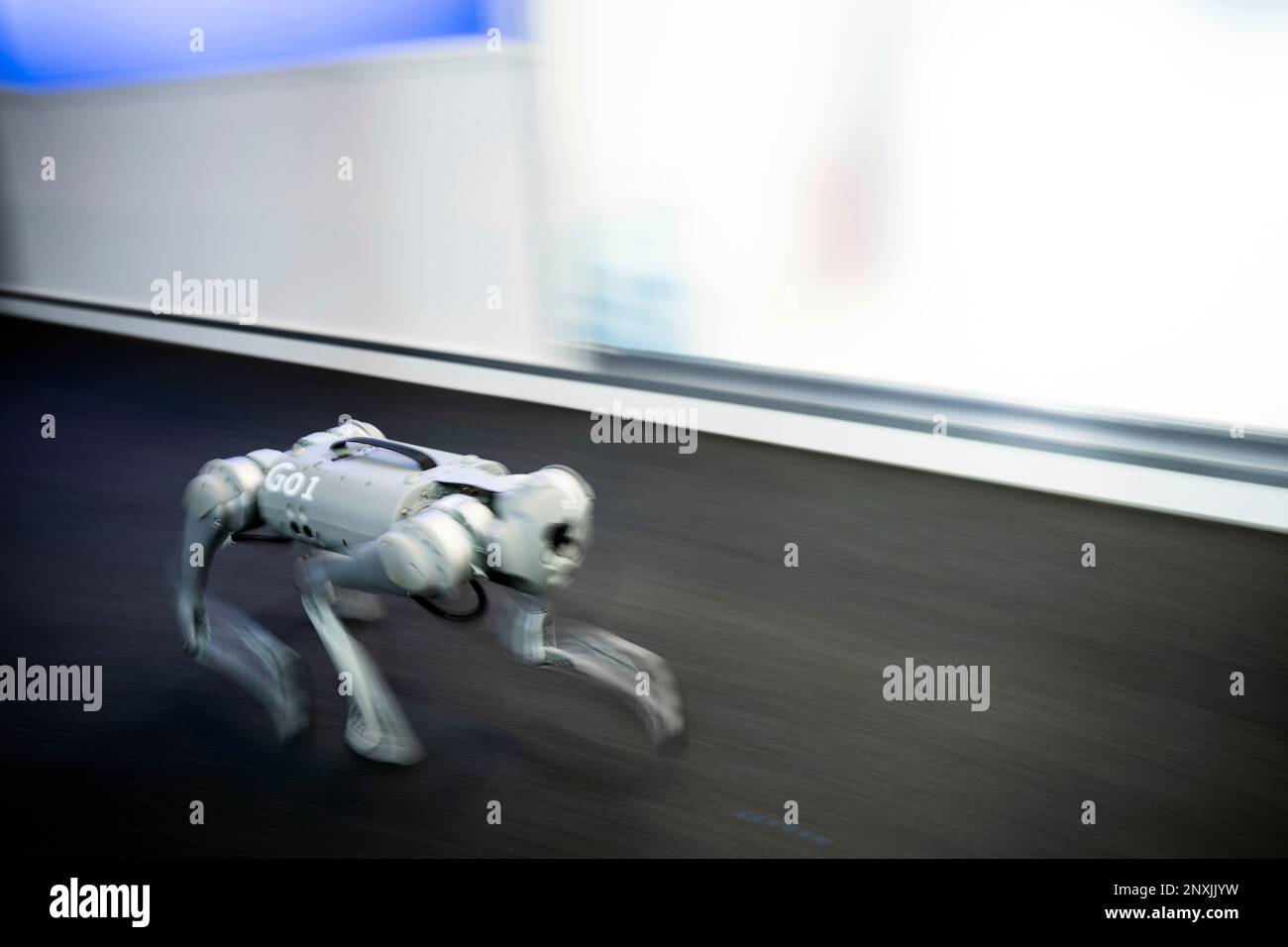 A Unitree GO1 ''dog'' robot runs though the Mobile World Congress 2023 ...