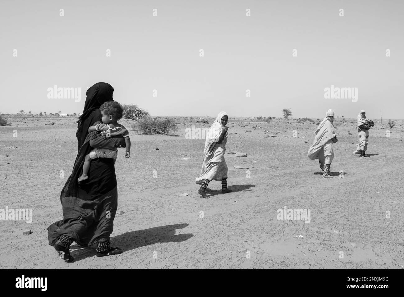 Mauritania, surroundings of Chinguetti, desert nomads Stock Photo - Alamy