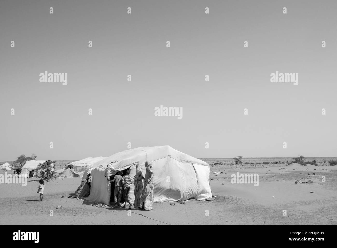 Mauritania, surroundings of Chinguetti, desert nomads Stock Photo - Alamy