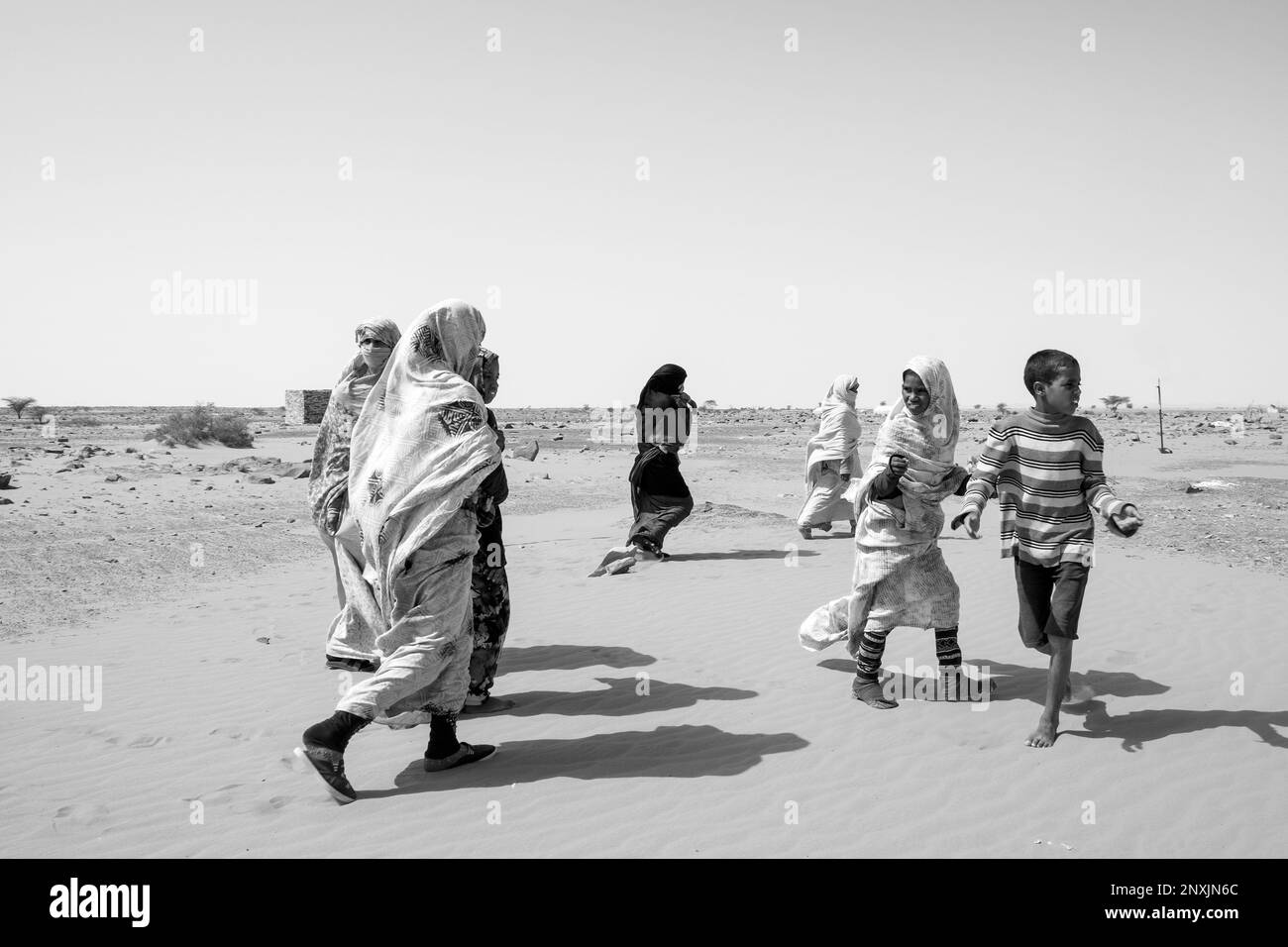 Mauritania, surroundings of Chinguetti, desert nomads Stock Photo - Alamy