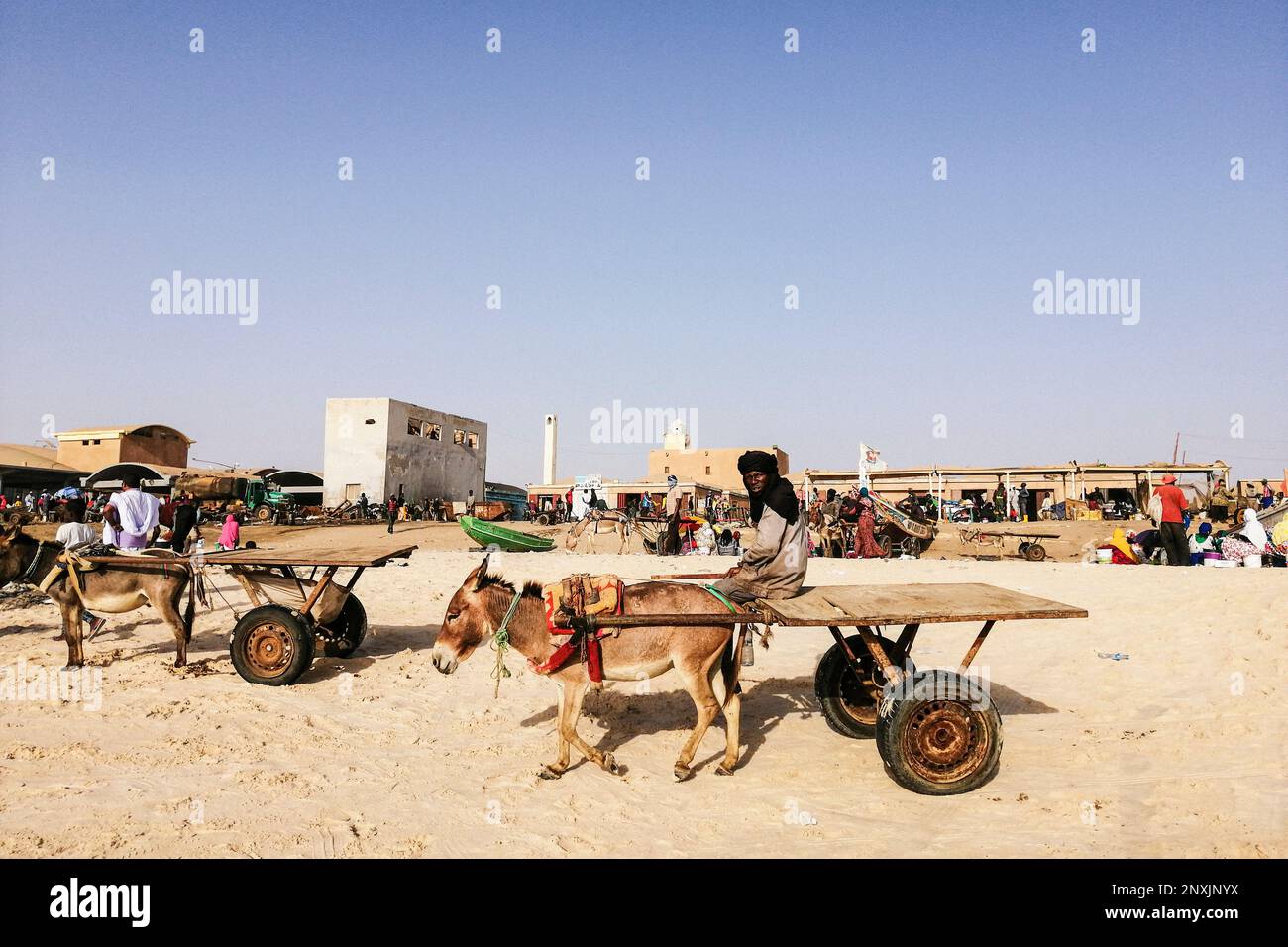 Mauritania, Nouakchott, fish market on the beach Stock Photo - Alamy