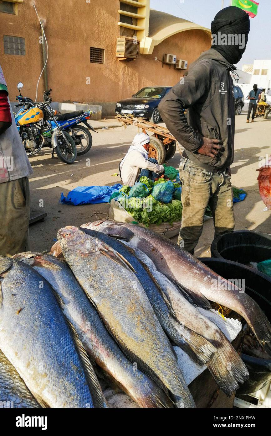 Mauritania, Nouakchott, fish market on the beach Stock Photo - Alamy