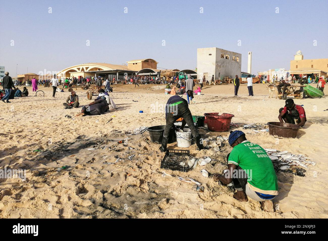 Mauritania, Nouakchott, fish market on the beach Stock Photo - Alamy
