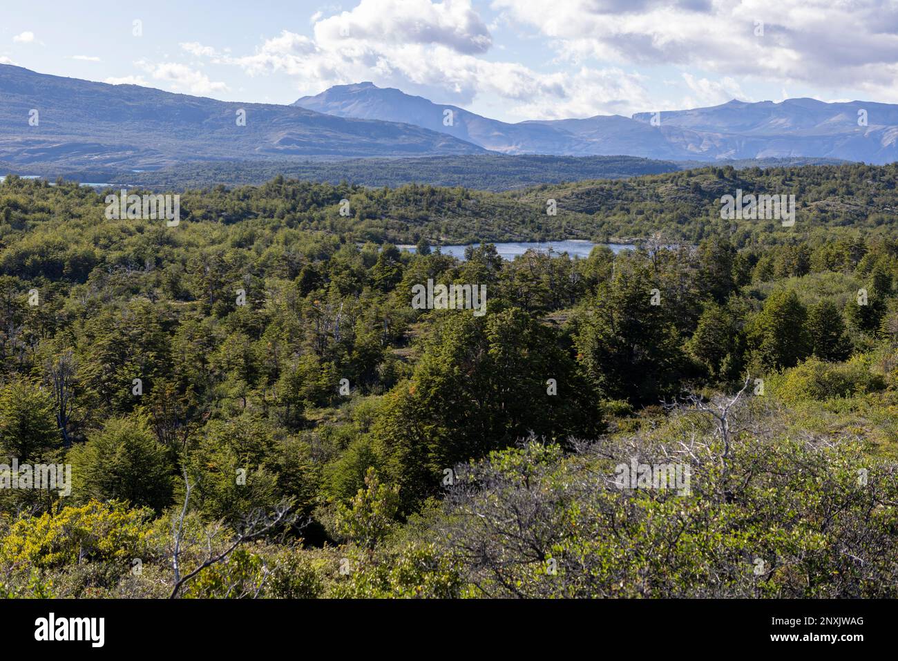 Landscape around famous Torres del Paine National Park in Chile ...
