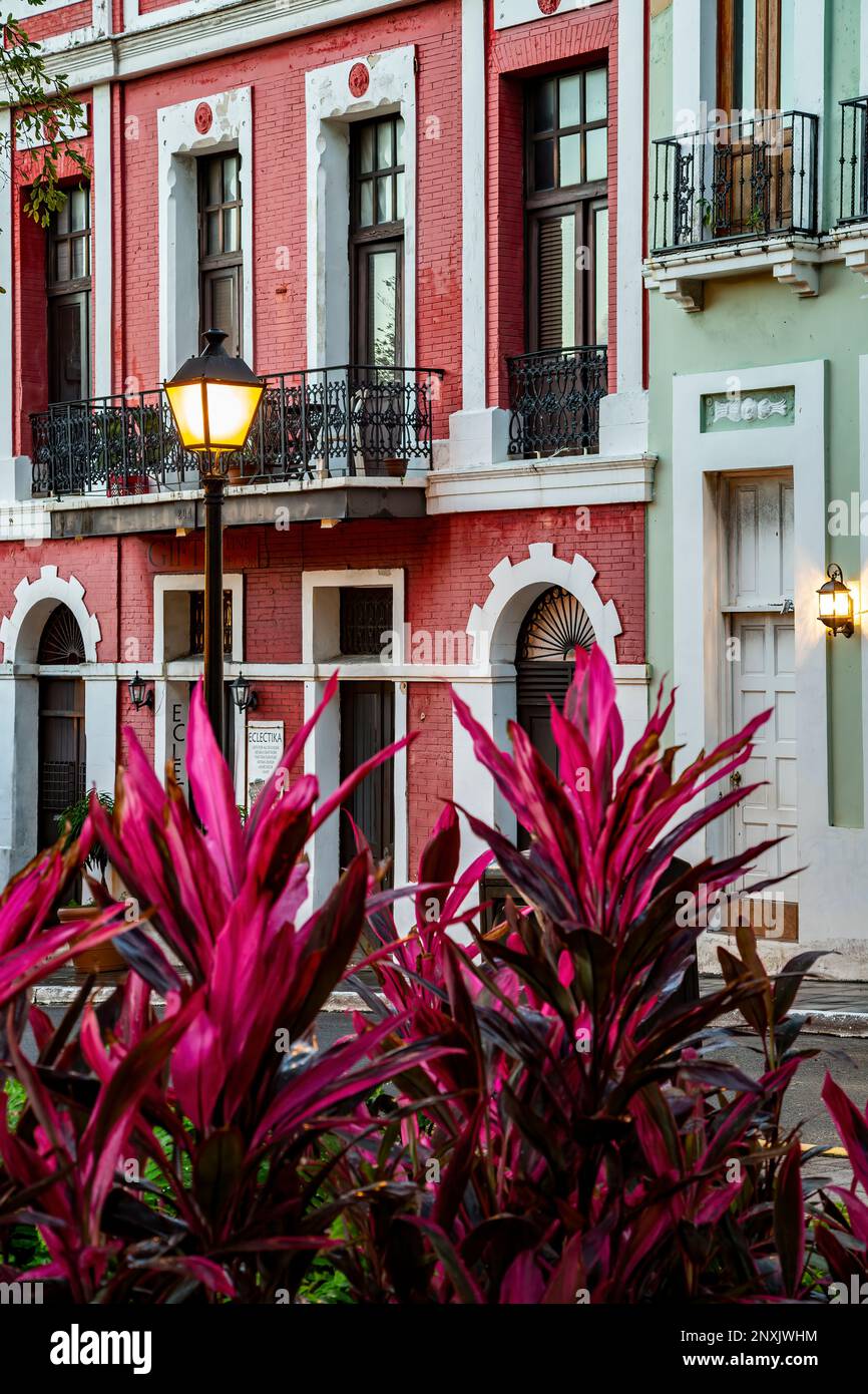 Spanish Colonial houses and red plants, Old San Juan, Puerto Rico Stock ...