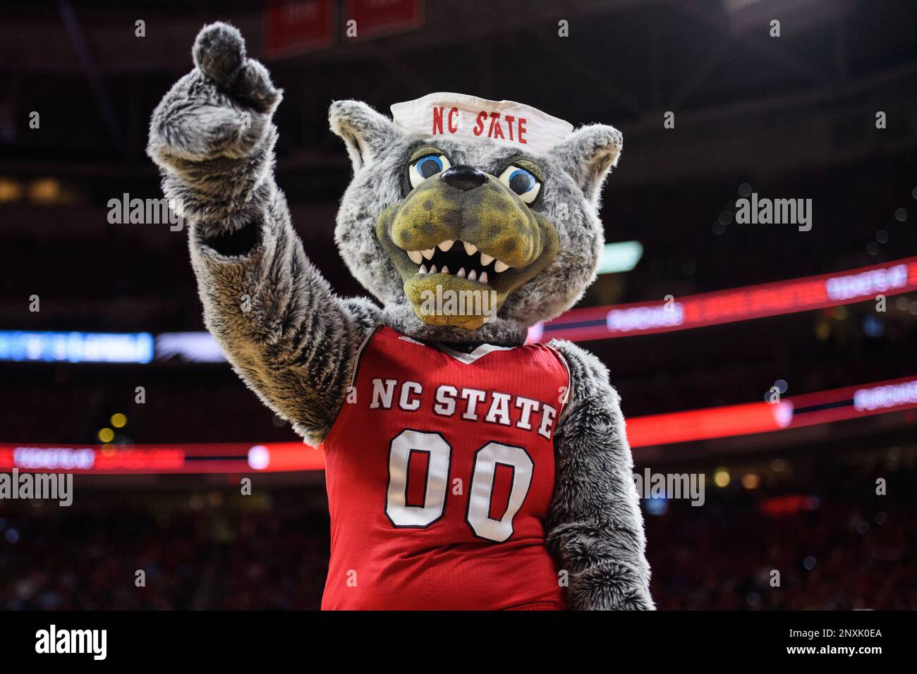 The NC State Wolf mascot during the NCAA College Basketball game ...