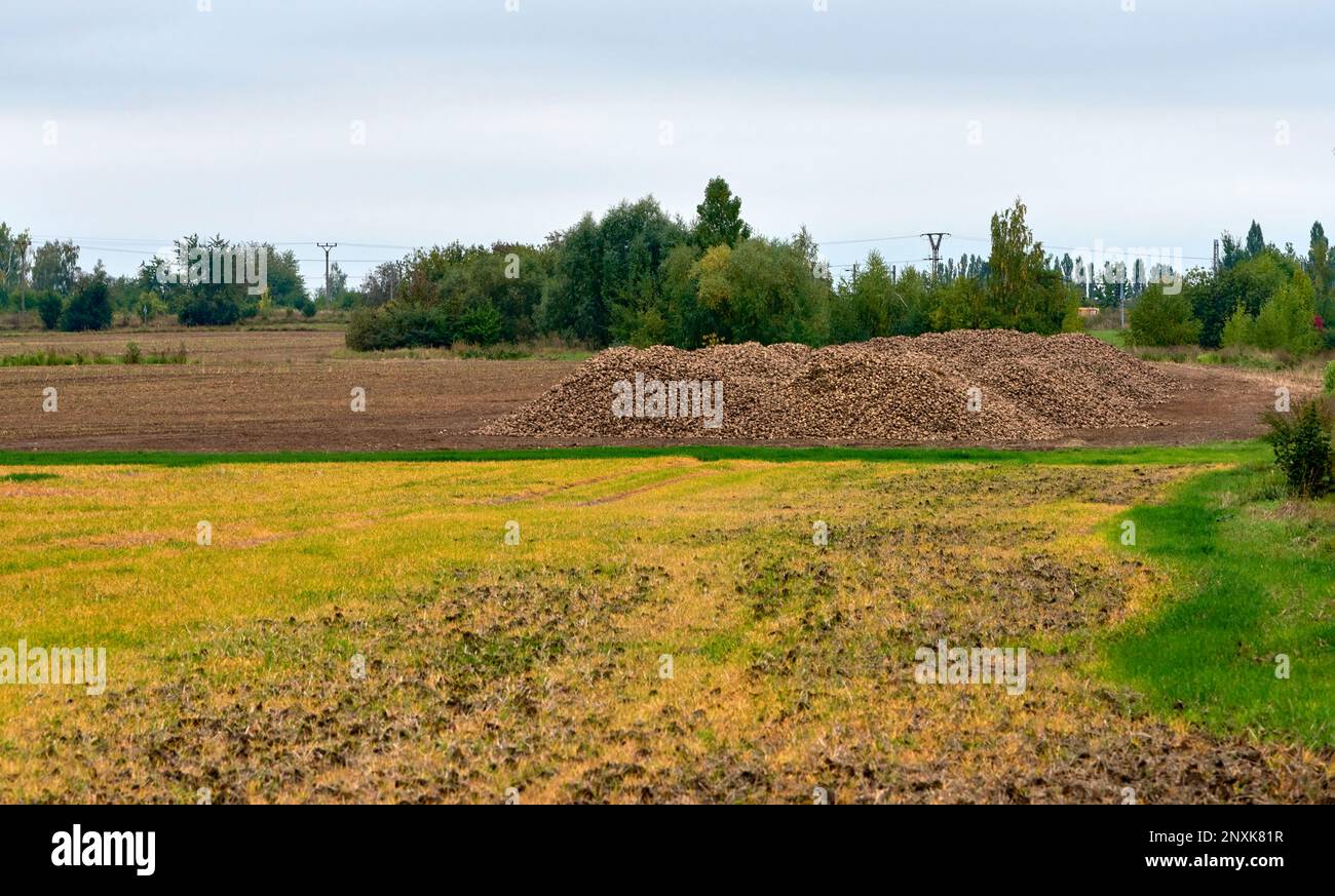 Czech countryside hi-res stock photography and images - Alamy