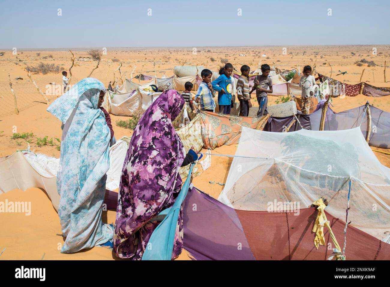 Mauritania, surroundings of Chinguetti, desert nomads Stock Photo - Alamy